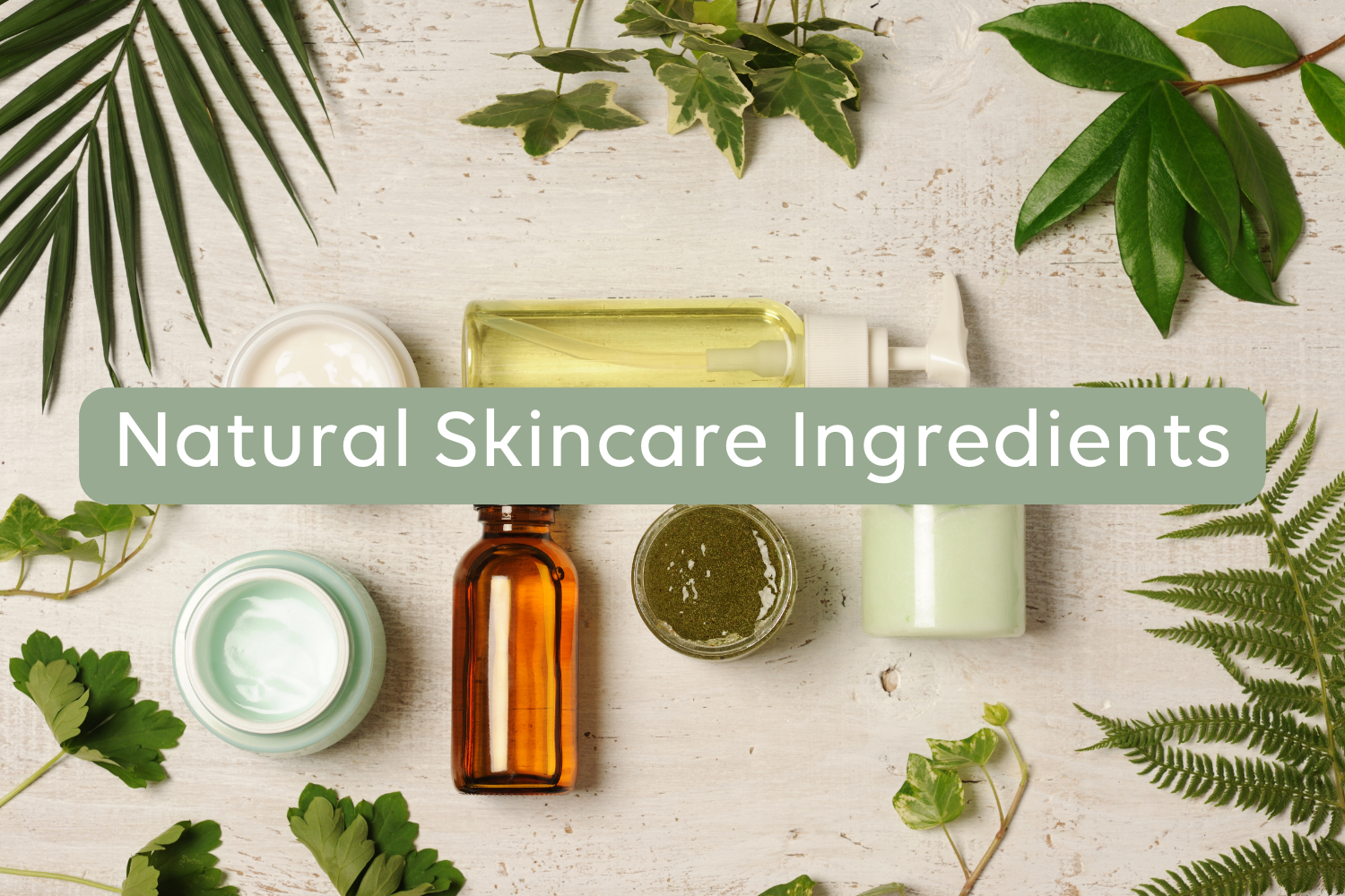Natural Skincare Ingredients – noodmood