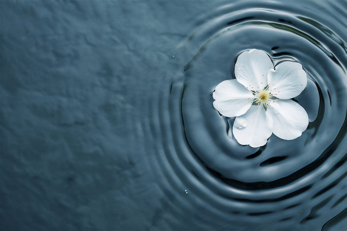 Floral Waters & Hydrosols – noodmood