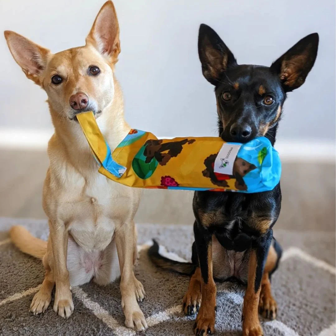 Recycled Plastic Dog Toy Crunch & Cuddle “Beach Fun” – noodmood